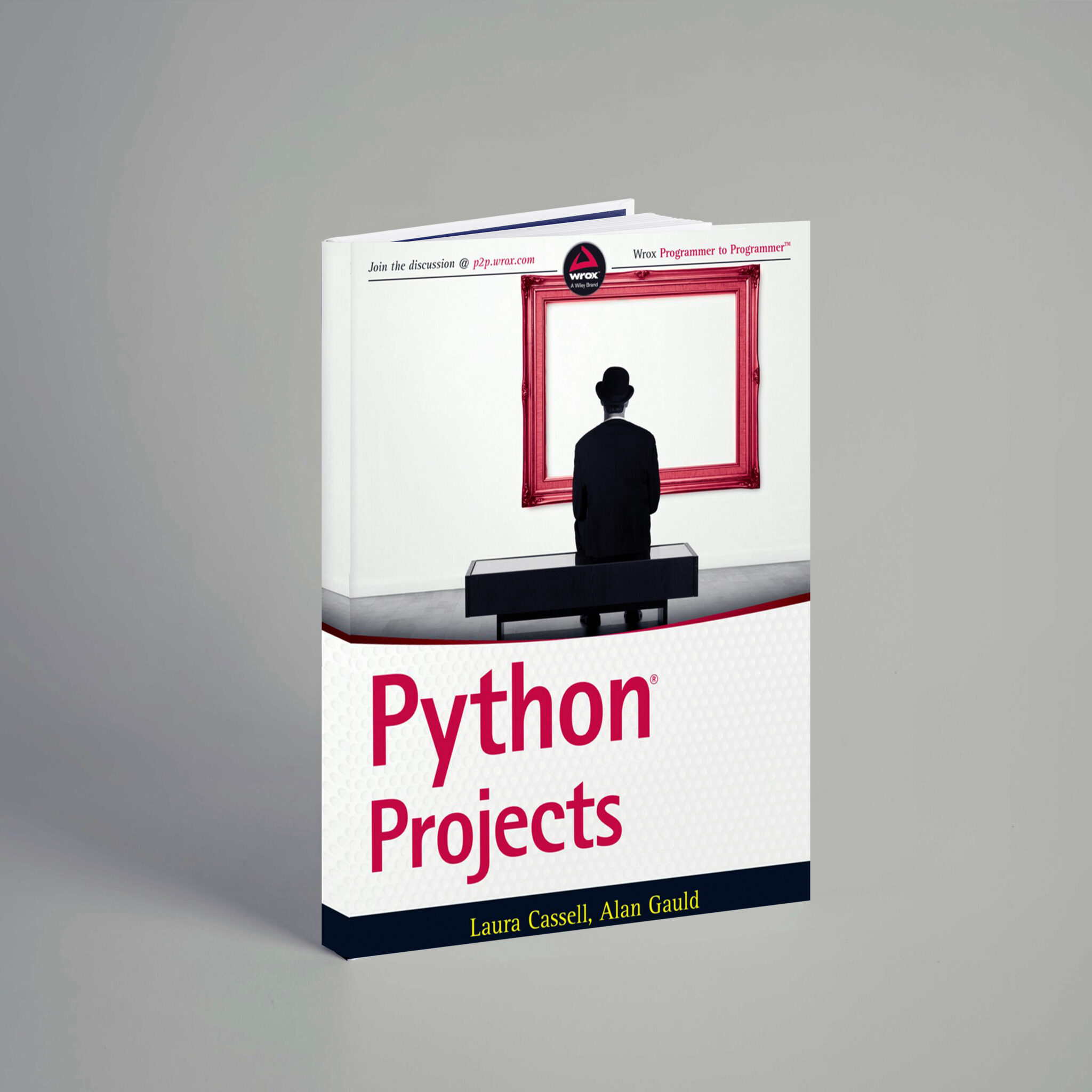 دانلود کتاب Python Project وبلاگ نیراسیستم مرجع اخبار و مقالات به 
